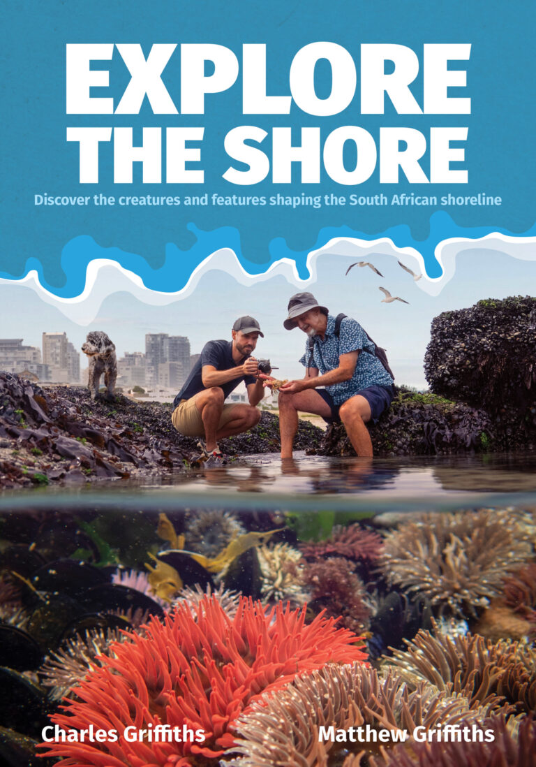 Explore The Shore - Jonathan Ball Publishers